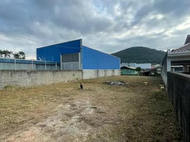 Terreno / Lote para Venda em Palhoça/SC Alto Aririu