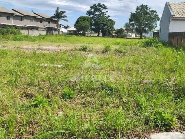 Terreno / Lote para Venda em Palhoça/SC Aririú da Formiga