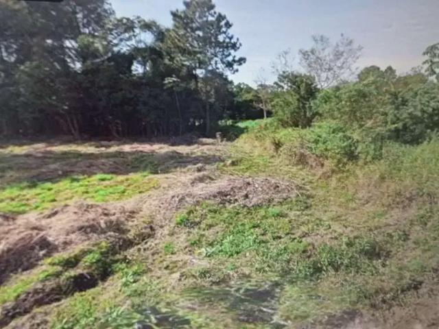 Terreno / Lote para Venda em Palhoça/SC Aririu