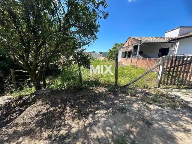 Terreno / Lote para Venda em Palhoça/SC Aririu