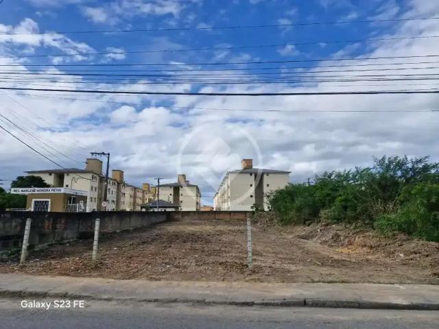 Terreno / Lote para Venda em Palhoça/SC Barra do Aririú