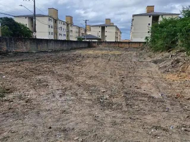 Terreno / Lote para Venda em Palhoça/SC Barra do Aririú