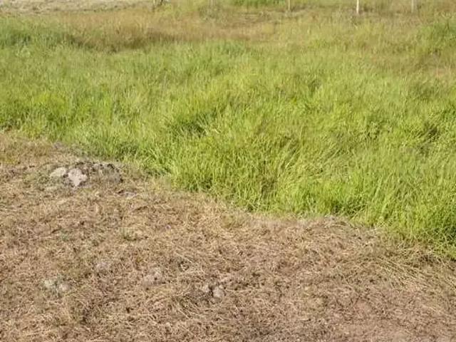 Terreno / Lote para Venda em Palhoça/SC Bela Vista