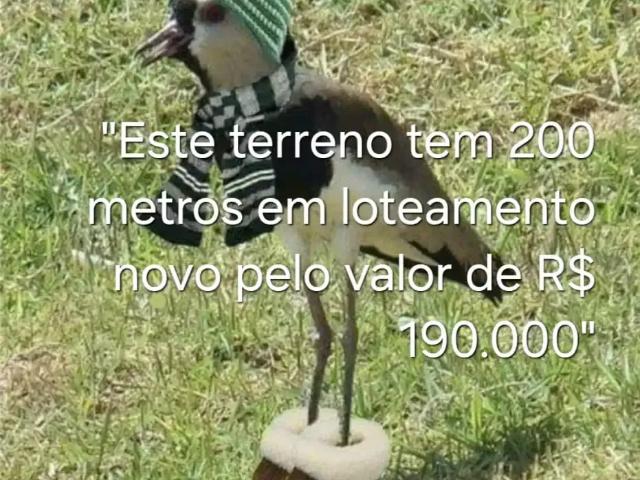 Terreno / Lote para Venda em Palhoça/SC Bela Vista