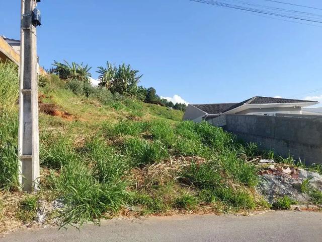 Terreno / Lote para Venda em Palhoça/SC Bela Vista