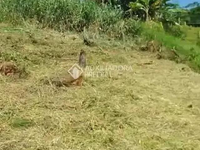 Terreno / Lote para Venda em Palhoça/SC Bela Vista 1 Quartos
