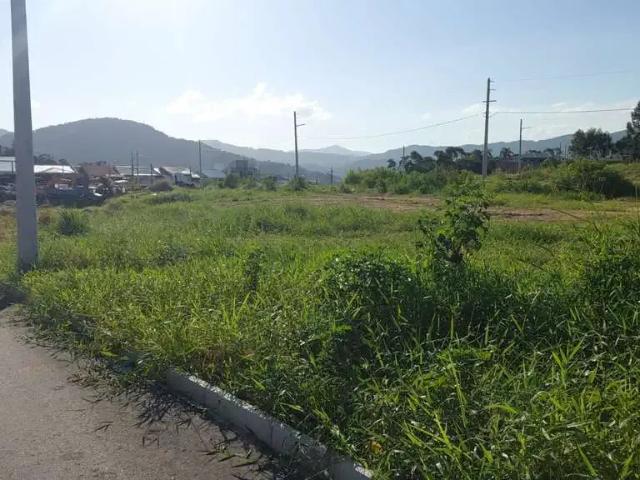 Terreno / Lote para Venda em Palhoça/SC Bela Vista