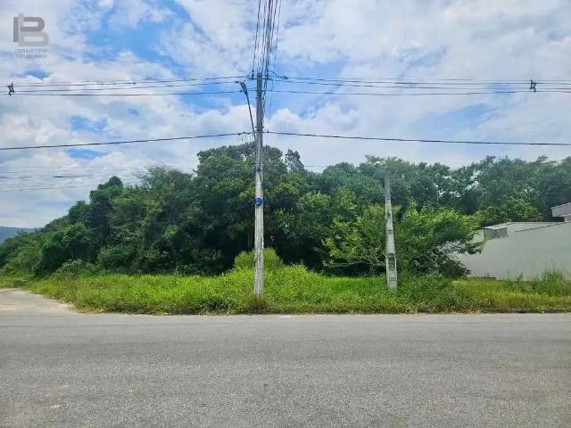 Terreno / Lote para Venda em Palhoça/SC Bela Vista