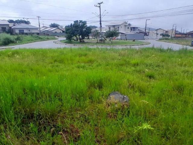 Terreno / Lote para Venda em Palhoça/SC Bela Vista