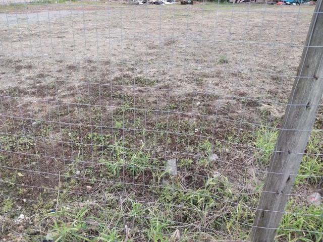 Terreno / Lote para Venda em Palhoça/SC Bela Vista