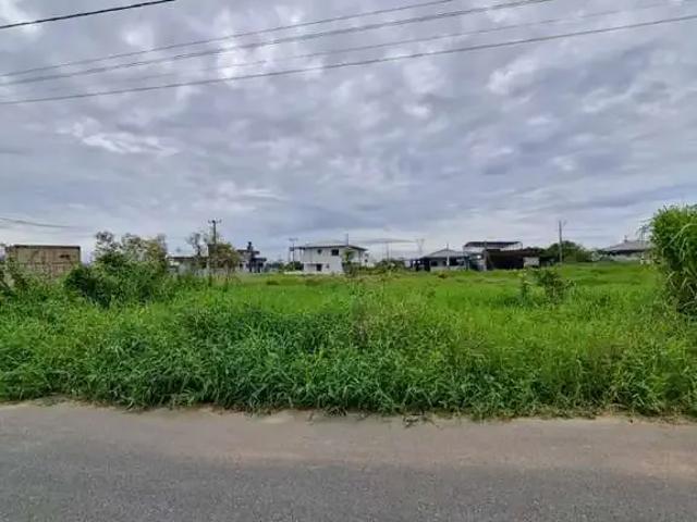 Terreno / Lote para Venda em Palhoça/SC Guarda do Cubatão