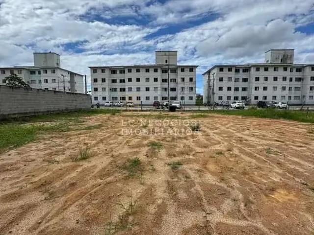 Terreno / Lote para Venda em Palhoça/SC Guarda do Cubatão