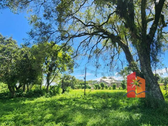 Terreno / Lote para Venda em Palhoça/SC Guarda do Cubatão