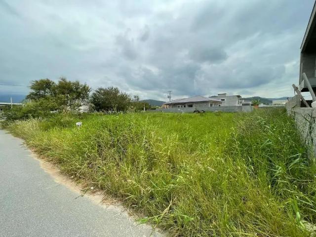 Terreno / Lote para Venda em Palhoça/SC Guarda do Cubatão