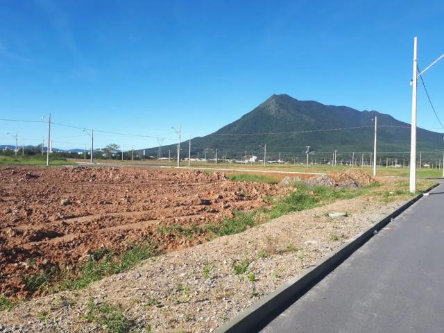 Terreno / Lote para Venda em Palhoça/SC Guarda do Cubatão