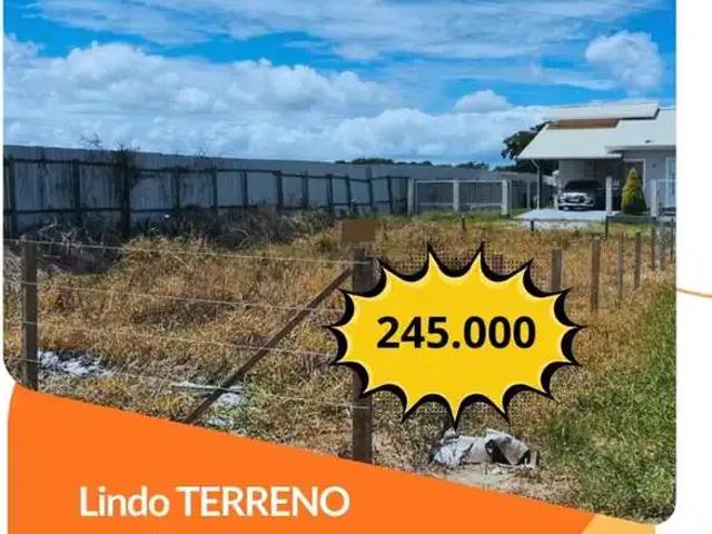 Terreno / Lote para Venda em Palhoça/SC Guarda do Cubatão