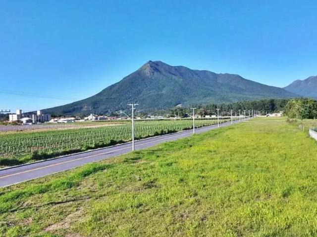 Terreno / Lote para Venda em Palhoça/SC Guarda do Cubatão