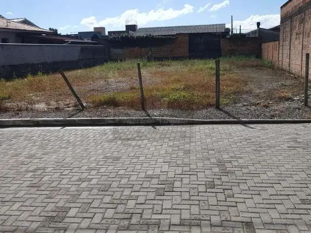 Terreno / Lote para Venda em Palhoça/SC Guarda do Cubatão
