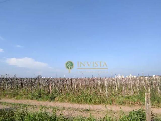 Terreno / Lote para Venda em Palhoça/SC Guarda do Cubatão