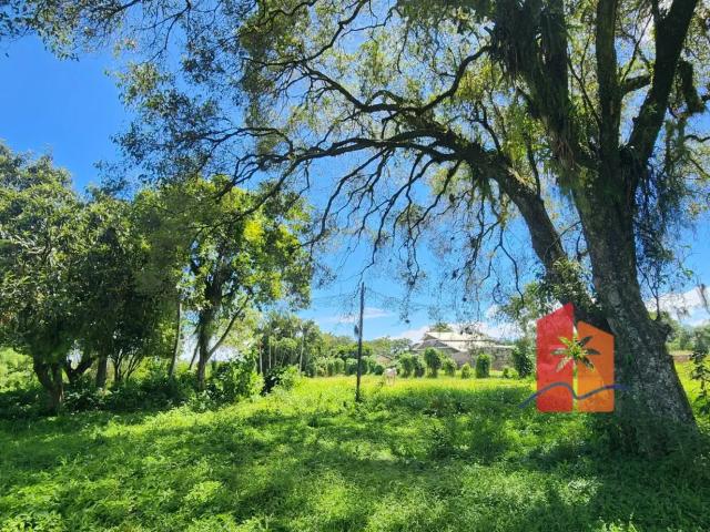 Terreno / Lote para Venda em Palhoça/SC Guarda do Cubatão