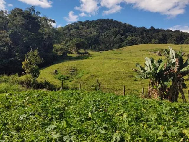 Terreno / Lote para Venda em Palhoça/SC Enseada do Brito Ens Brito