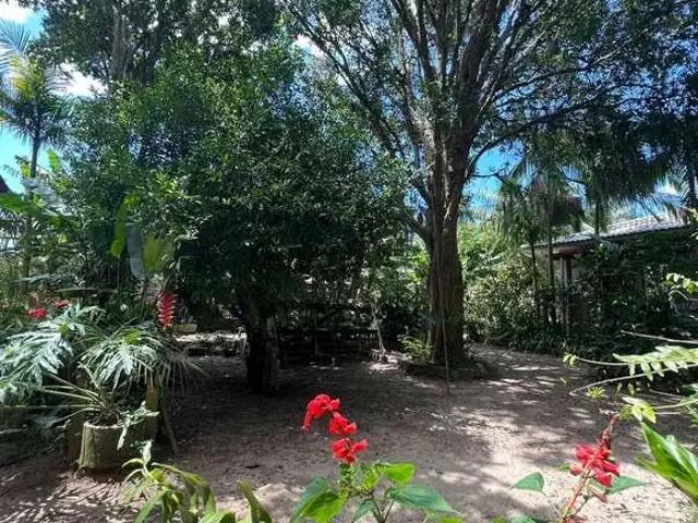 Terreno / Lote para Venda em Palhoça/SC Enseada do Brito Ens Brito