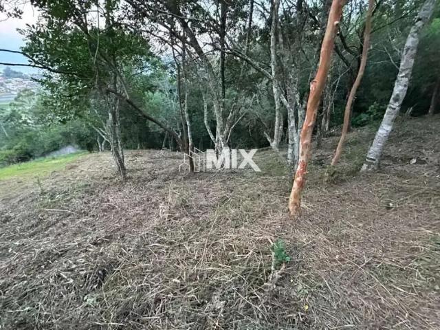 Terreno / Lote para Venda em Palhoça/SC Enseada do Brito Ens Brito