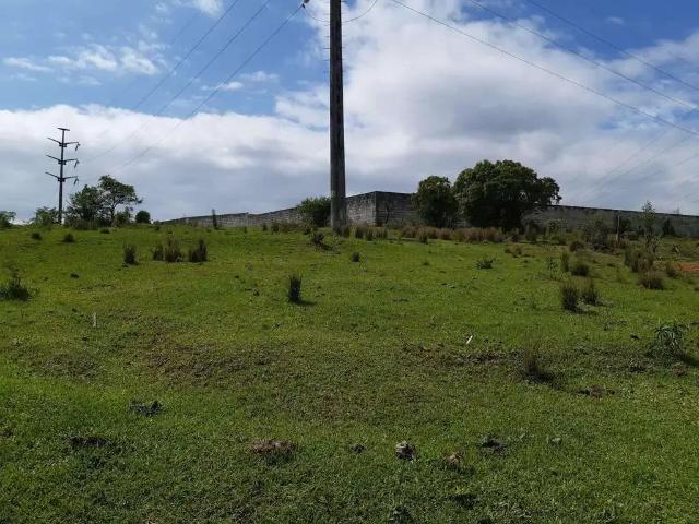 Terreno / Lote para Venda em Palhoça/SC Madri