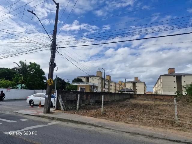 Terreno / Lote para Venda em Palhoça/SC Pachecos