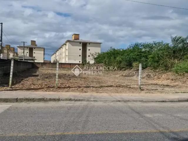 Terreno / Lote para Venda em Palhoça/SC Pachecos