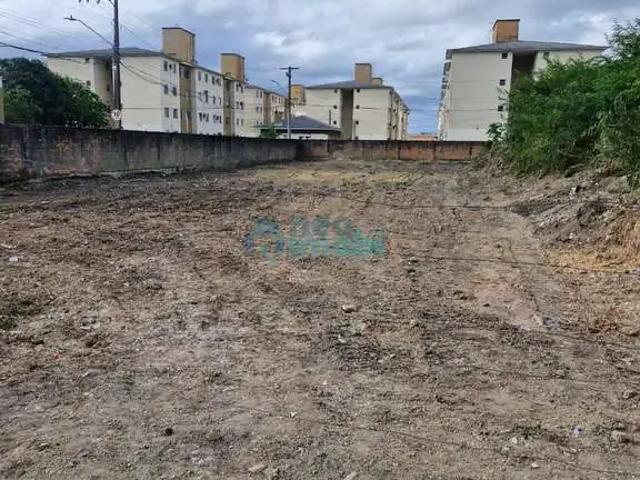 Terreno / Lote para Venda em Palhoça/SC Pachecos