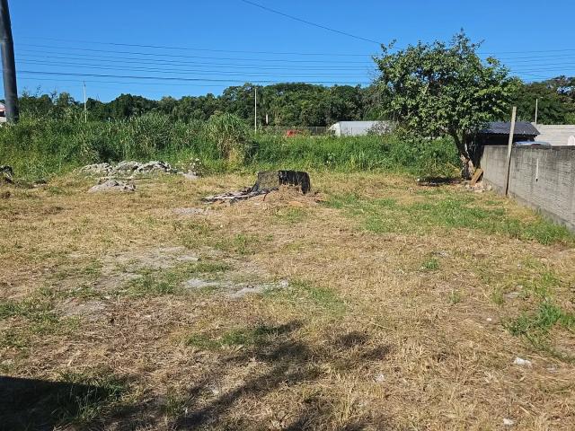 Terreno / Lote para Venda em Palhoça/SC Pachecos
