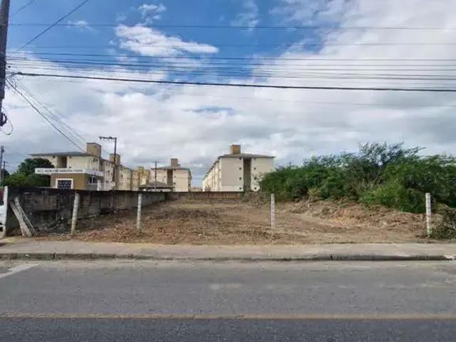 Terreno / Lote para Venda em Palhoça/SC Pachecos