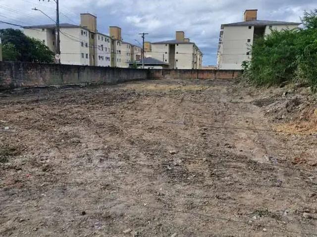Terreno / Lote para Venda em Palhoça/SC Pachecos