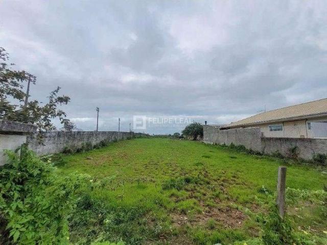 Terreno / Lote para Venda em Palhoça/SC Pachecos