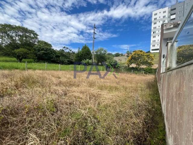 Terreno / Lote para Venda em Palhoça/SC Pedra Branca