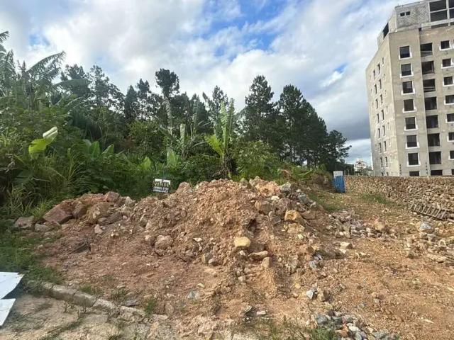 Terreno / Lote para Venda em Palhoça/SC Pedra Branca
