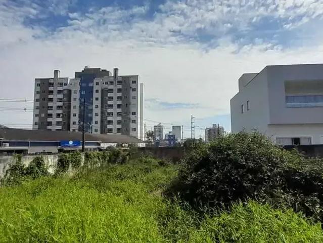 Terreno / Lote para Venda em Palhoça/SC Pedra Branca