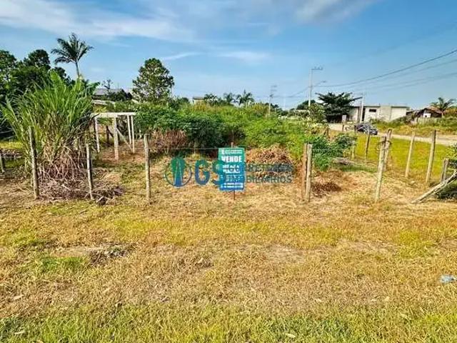 Terreno / Lote para Venda em Palhoça/SC Pinheira