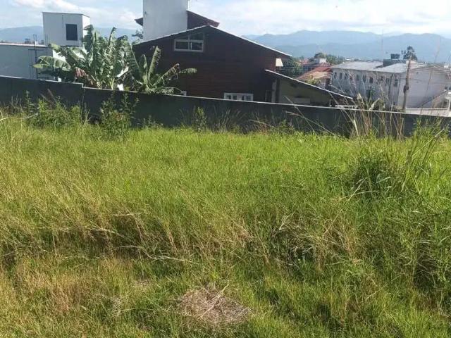 Terreno / Lote para Venda em Palhoça/SC Pinheira