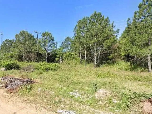 Terreno / Lote para Venda em Palhoça/SC Pinheira