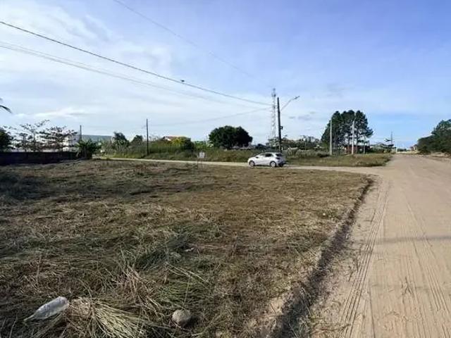 Terreno / Lote para Venda em Palhoça/SC Pinheira