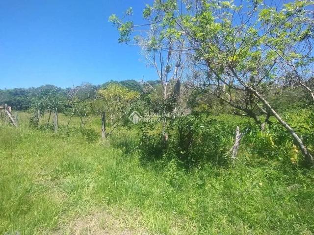 Terreno / Lote para Venda em Palhoça/SC Pinheira