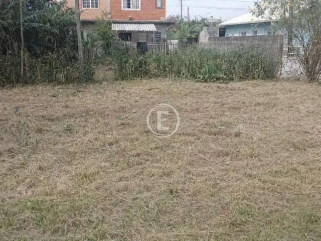 Terreno / Lote para Venda em Palhoça/SC Pinheira