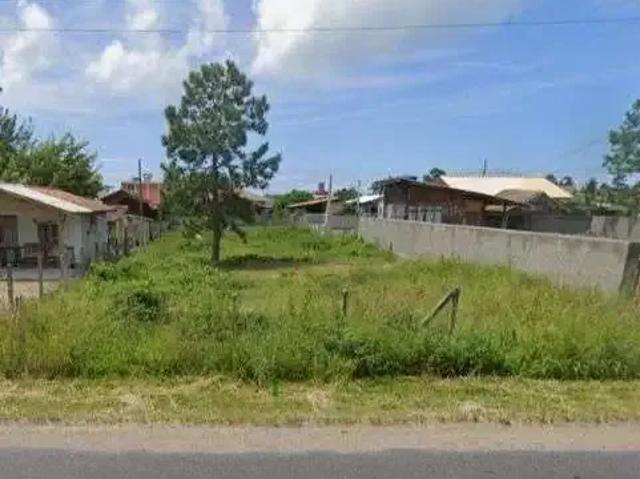 Terreno / Lote para Venda em Palhoça/SC Pinheira