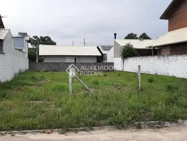 Terreno / Lote para Venda em Palhoça/SC Pinheira