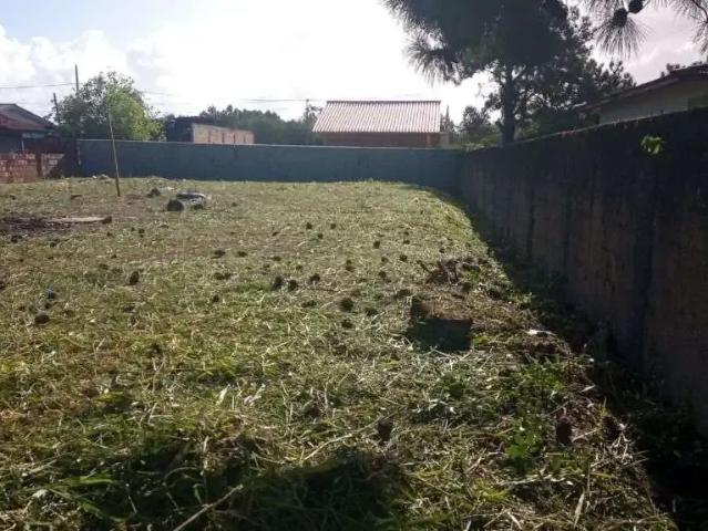 Terreno / Lote para Venda em Palhoça/SC Pinheira