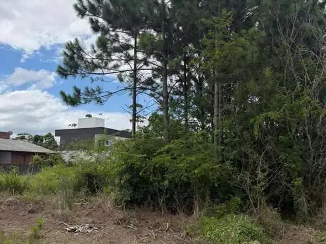 Terreno / Lote para Venda em Palhoça/SC Praia do Sonho