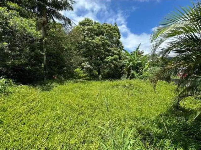 Terreno / Lote para Venda em Palhoça/SC Praia de Fora