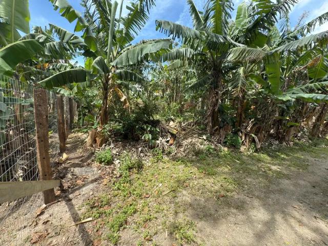 Terreno / Lote para Venda em Palhoça/SC Praia de Fora